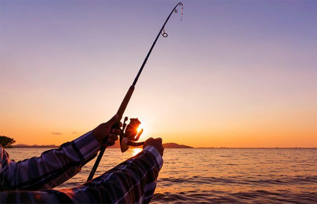 11 Best Fishing Spots - Catch Good Times at These Locations | View Auckland