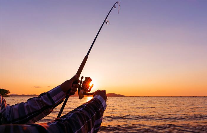 11 Best Fishing Spots - Catch Good Times at These Locations | View Auckland